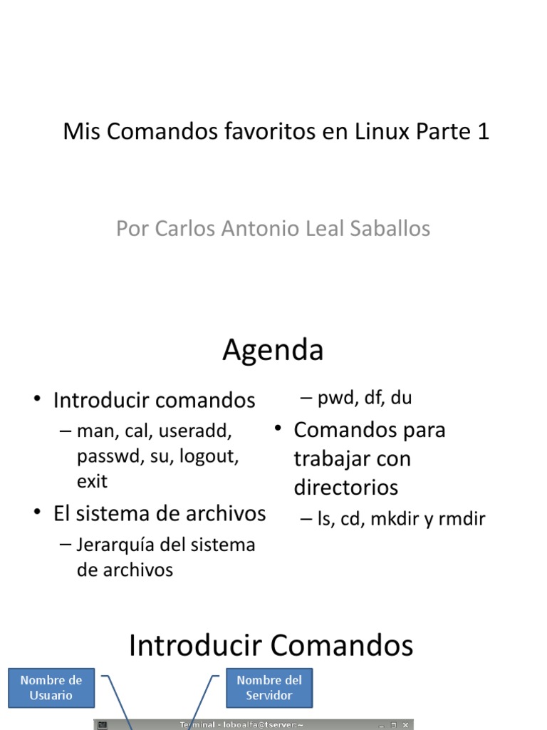 Comandos Esenciales en Linux | PDF | Usuario (informática) | Archivo de computadora