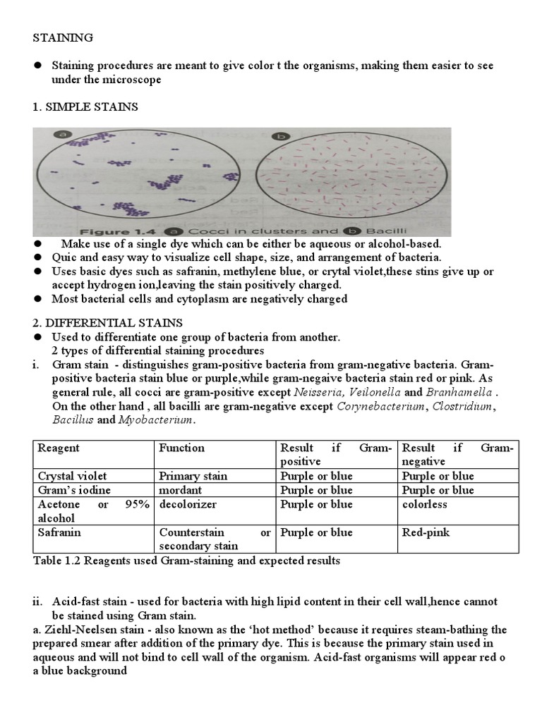 Staining Techniques & Culture Media | PDF | Growth Medium | Staining