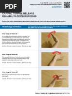 Hand and Wrist ROM Exercise Guide | PDF | Hand | Thumb