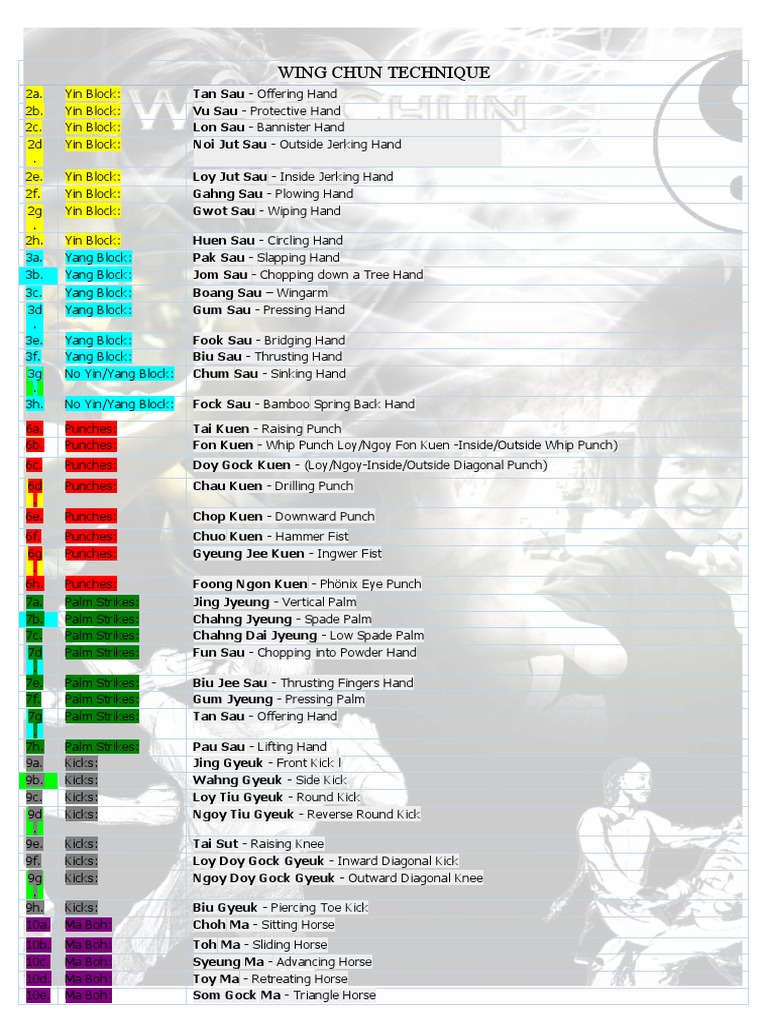 Wing Chun Techniques | PDF | Wing Chun | Chinese Martial Arts