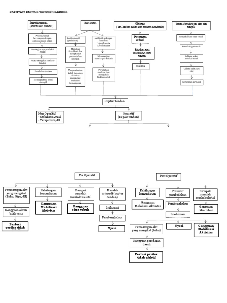 Pathway Ruptur Tendon Fleksor | PDF