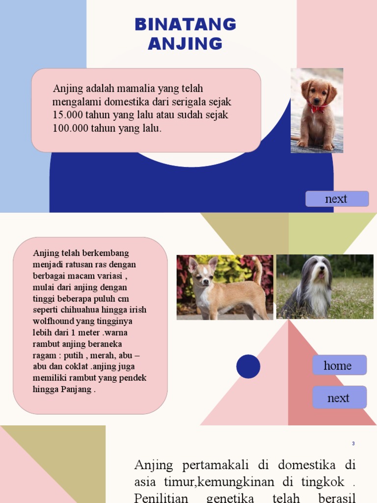 Binatang Anjing Tugas Marsya | PDF