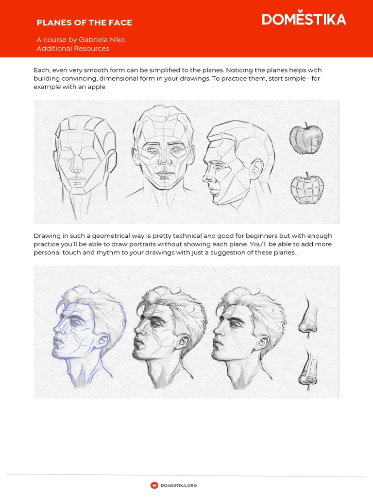 Simplifying the Planes of the Face | PDF