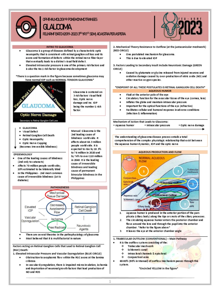OPTHA 2.2 GLAUCOMA - Dr. Fermin | PDF | Glaucoma | Human Eye