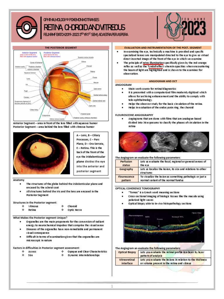 OPTHA 2.1 RETINAL DISORDERS, CHOROID AND VITREOUS - Dr. Marin | PDF ...
