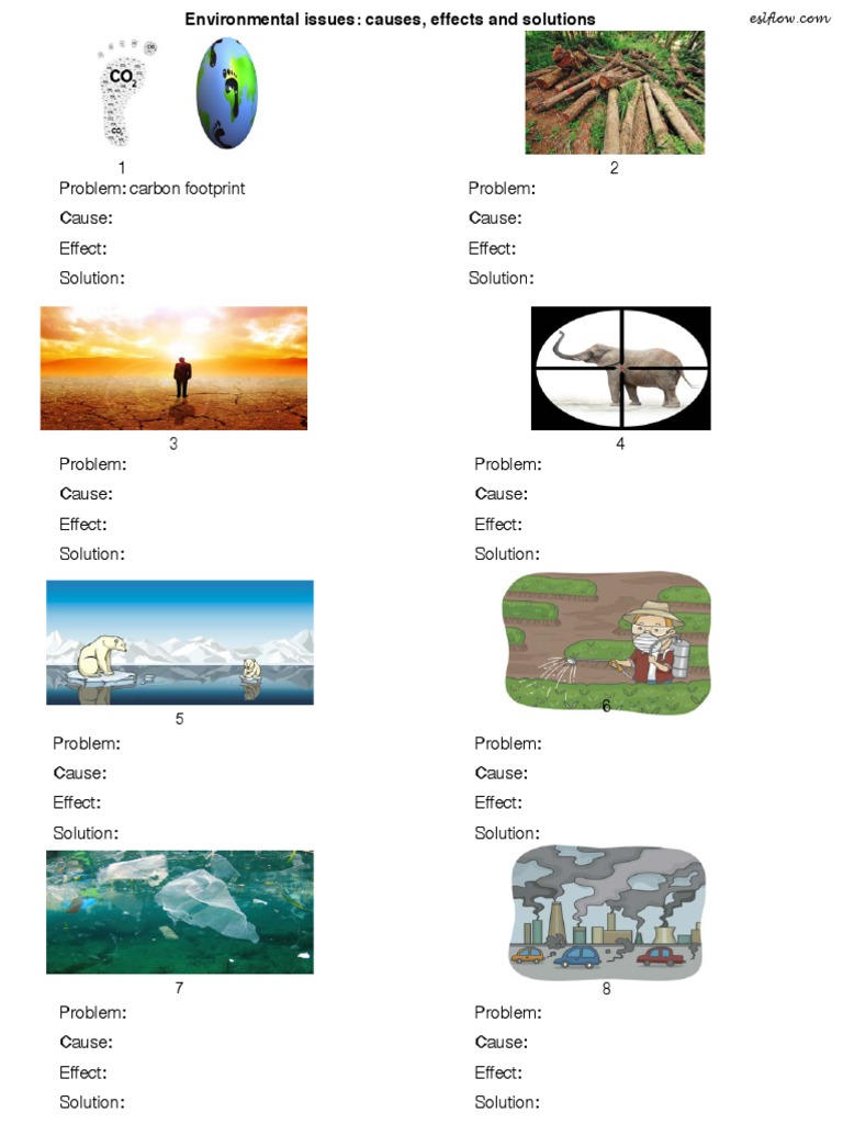 Environmental Causes Effects Solutions 1 | PDF