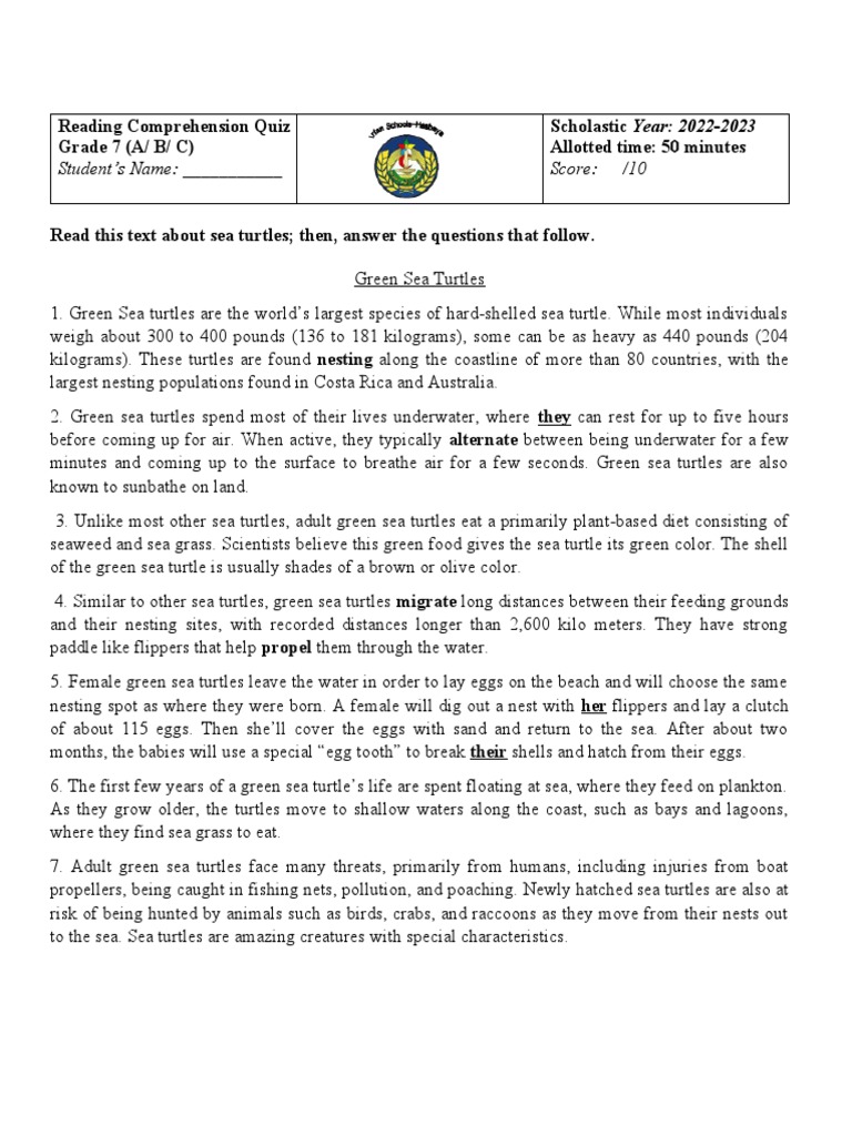 Comp Quiz Turtles | PDF | Sea Turtle | Turtle
