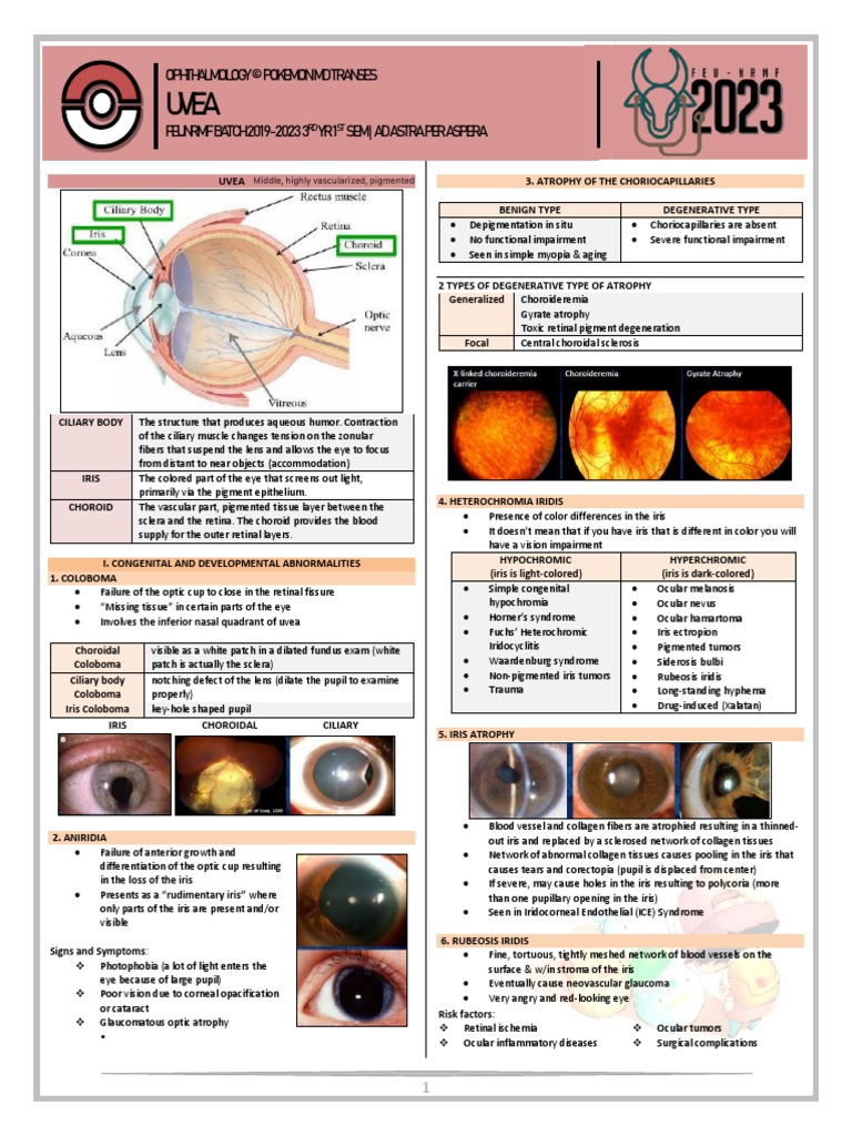 OPTHA 2.5 UVEA - Dr. Galvante | PDF | Human Eye | Glaucoma