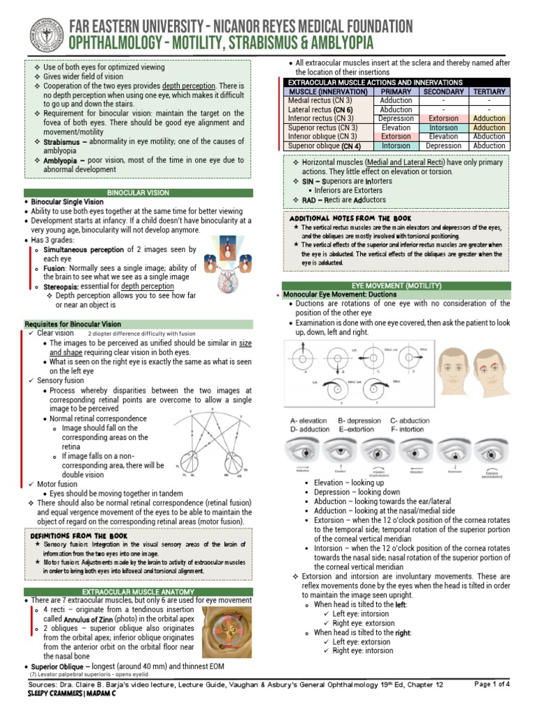OPHTHA Motility and Pediatric Ophthalmology Barja 2020 | PDF