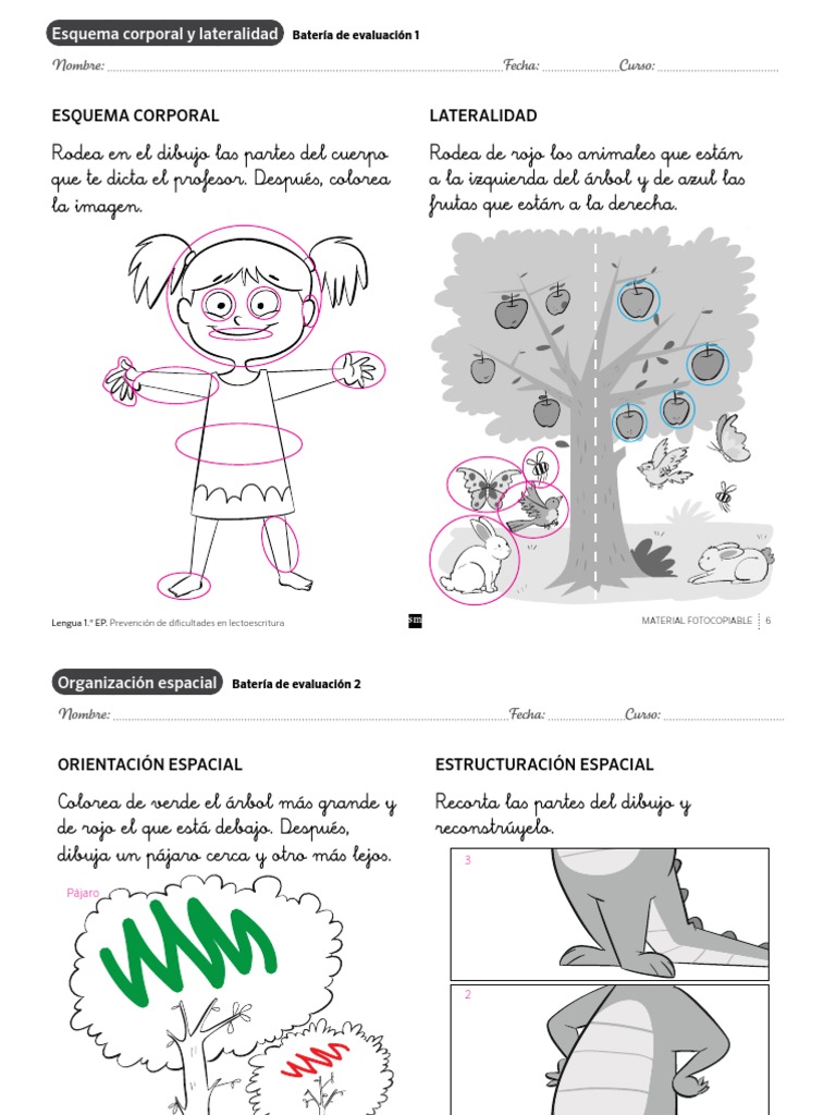 Soluc. Prog. Preven. Dif. Lectoescritura | PDF | Color | Arco iris