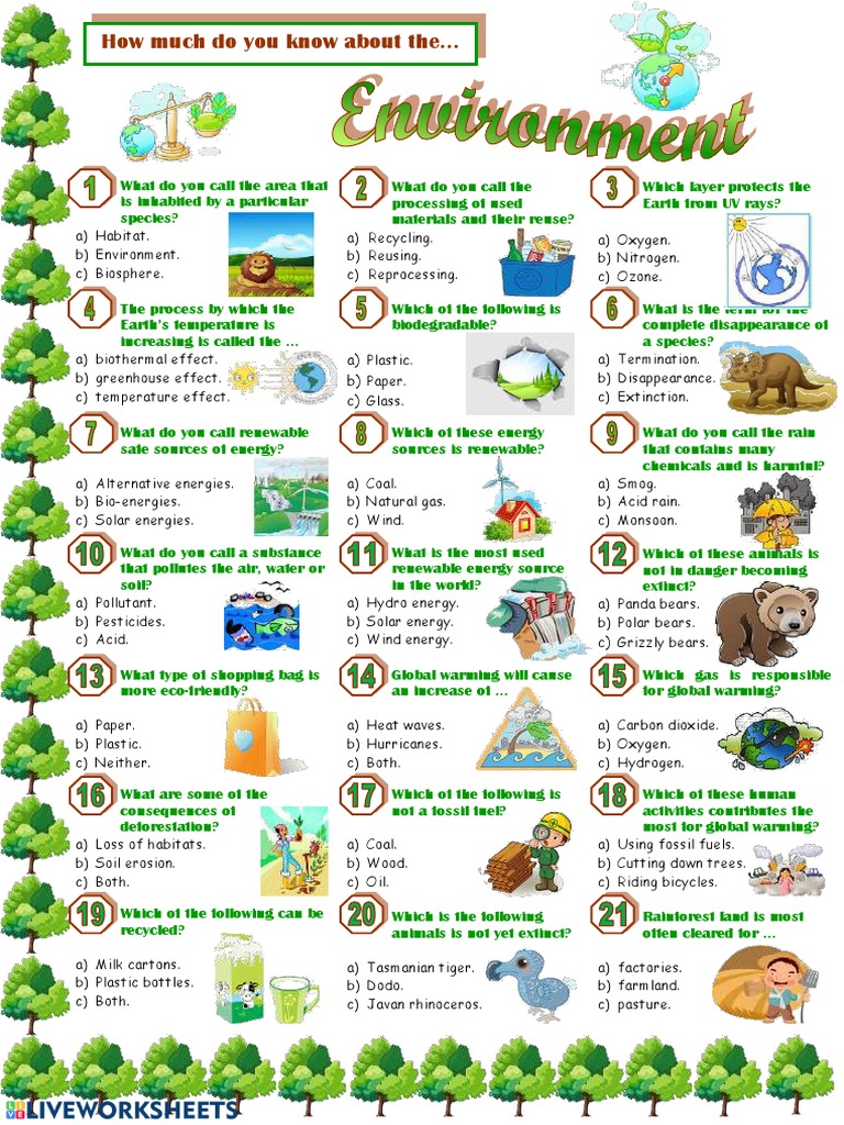 Environment Quiz | PDF | Renewable Resources | Climate Change