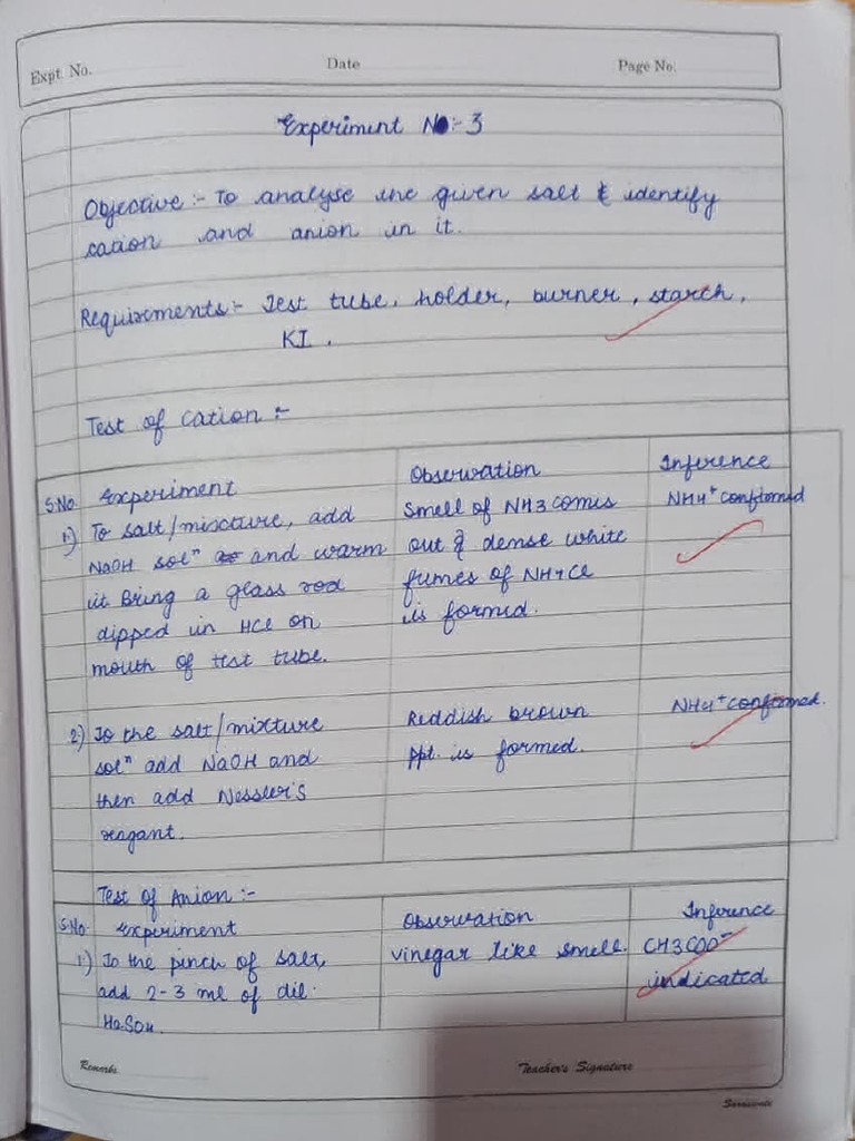 Chemistry Experiments | PDF | Chemical Substances | Nature