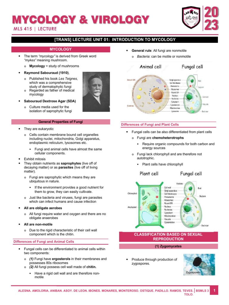 MYCOVIRO | PDF | Fungus | Infection