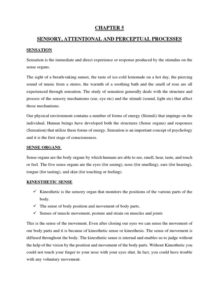 Chapter 5 Notes Pdf Psychophysics Perception