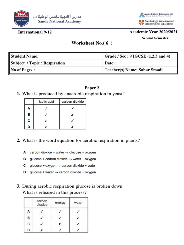 Paper 2 Respiration | PDF | Cellular Respiration | Glucose