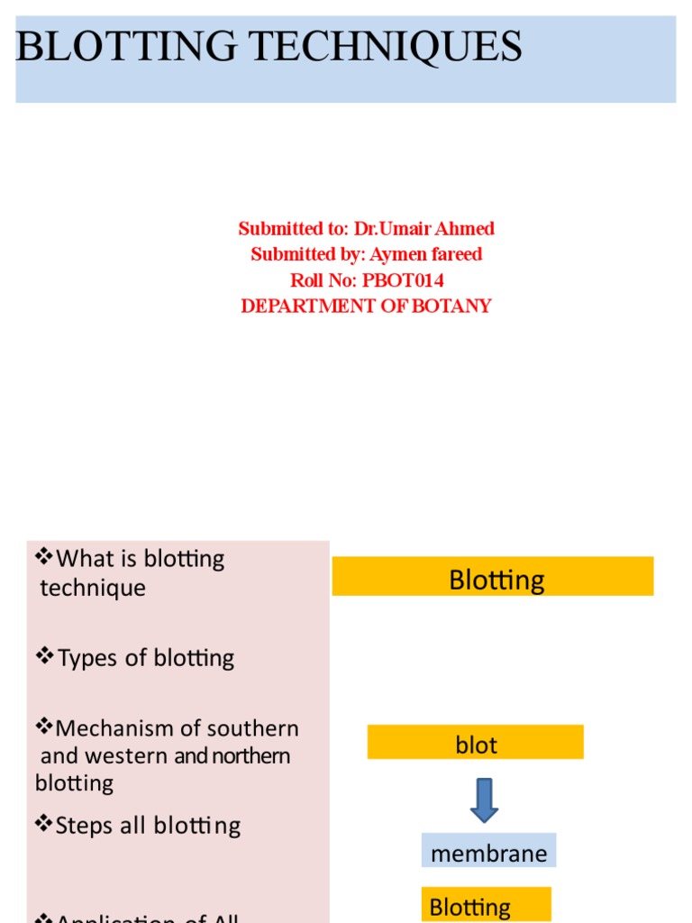 Blotting Technique | Download Free PDF | Blot (Biology) | Gel Electrophoresis