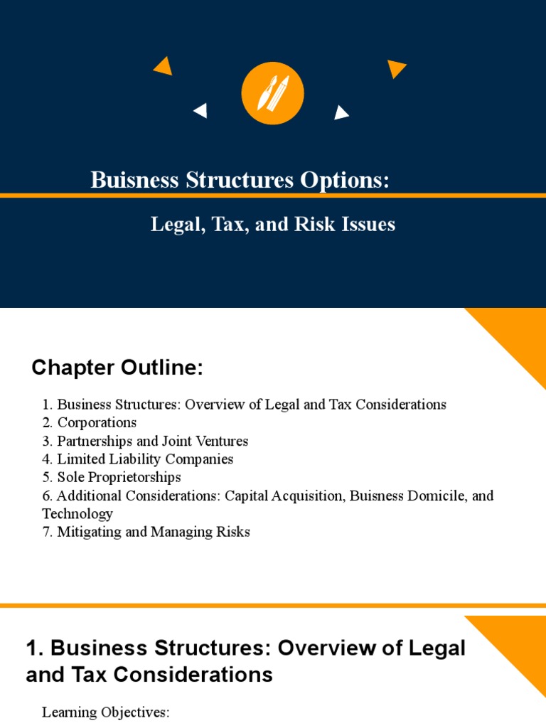 Business Structure Pdf Limited Liability Company Partnership