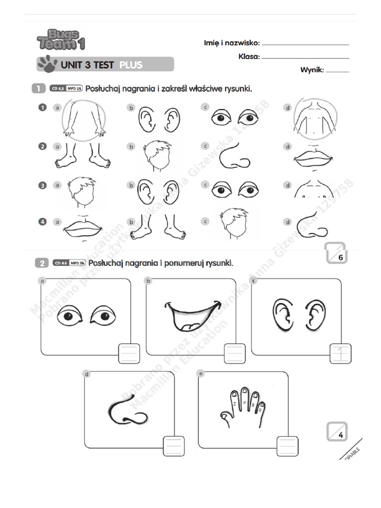 Bugs Team 1 Unit 3 | PDF