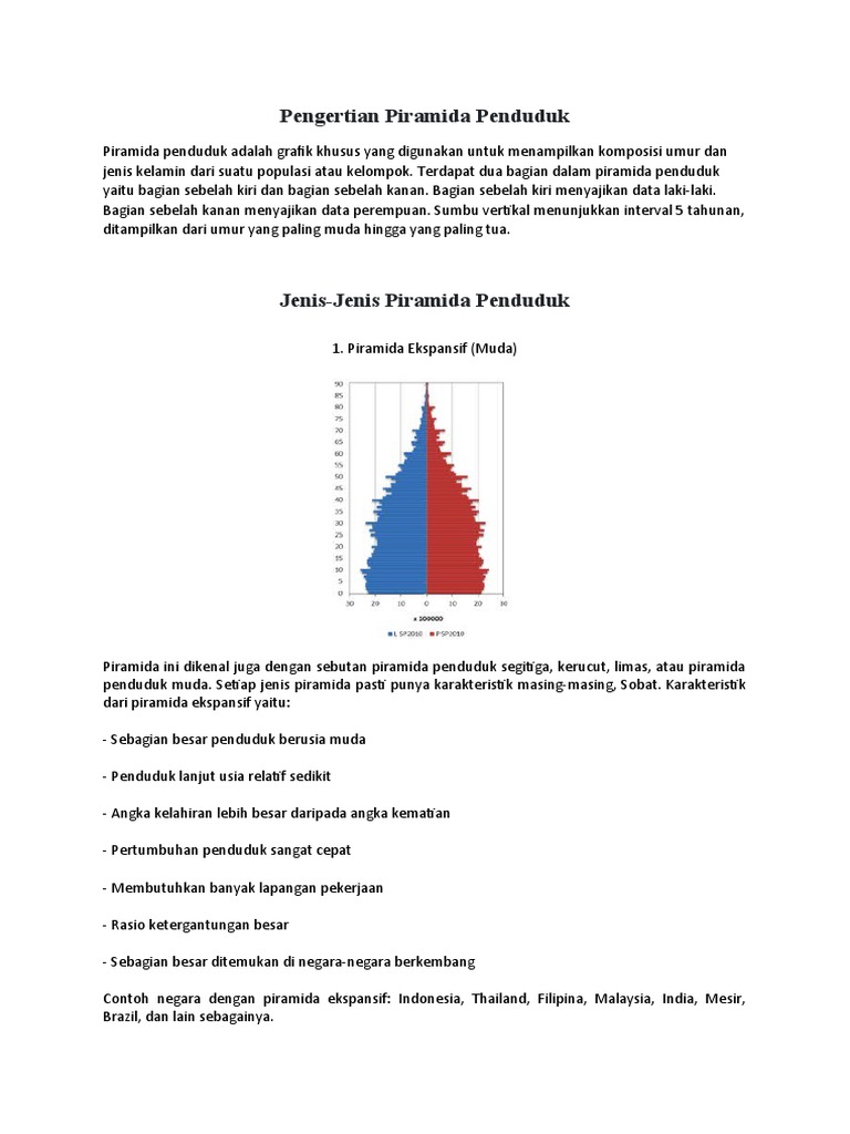 Pengertian Piramida Penduduk | PDF