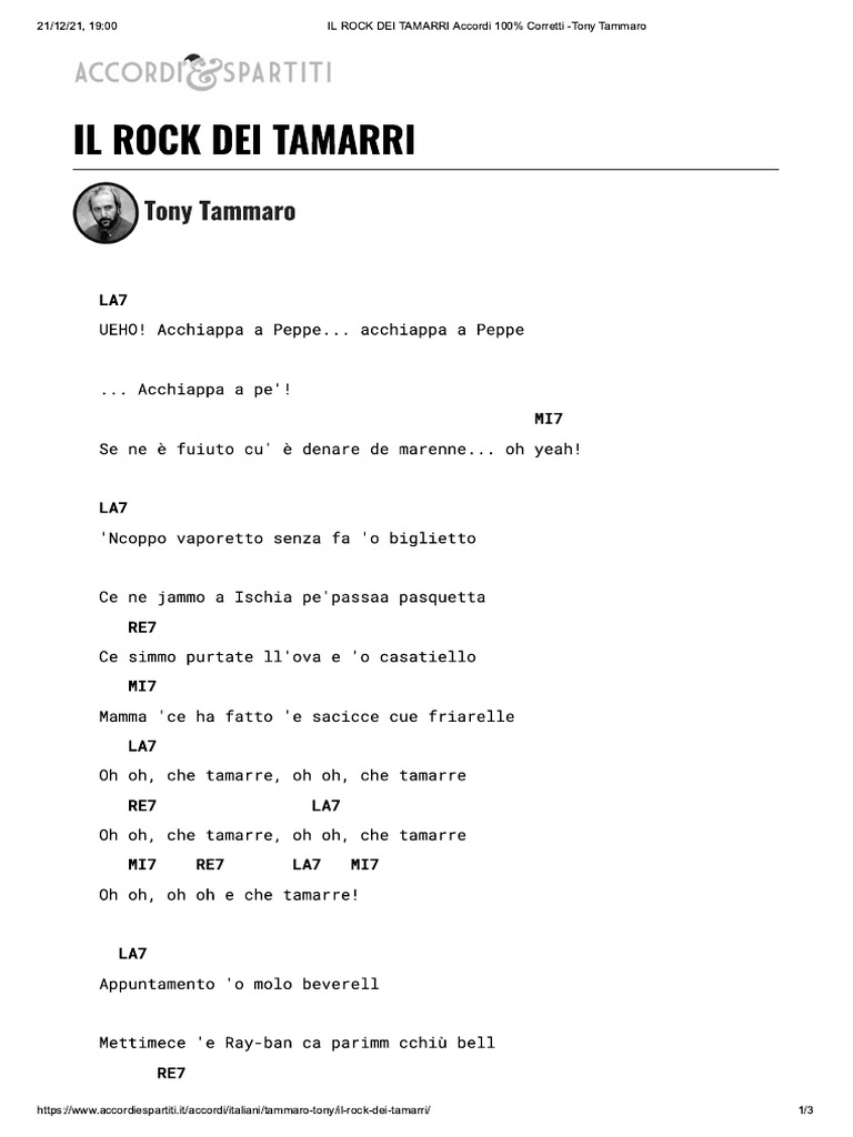 Tony Tammaro: Il Rock dei Tamarri | PDF | Technology & Engineering
