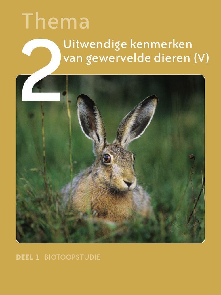 Thema 2 Ingevuld | PDF