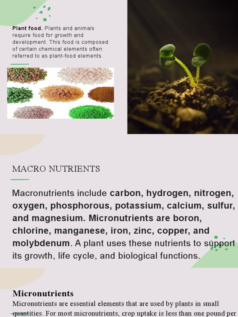 Plant Food Fertilizers | PDF | Fertilizer | Nutrients