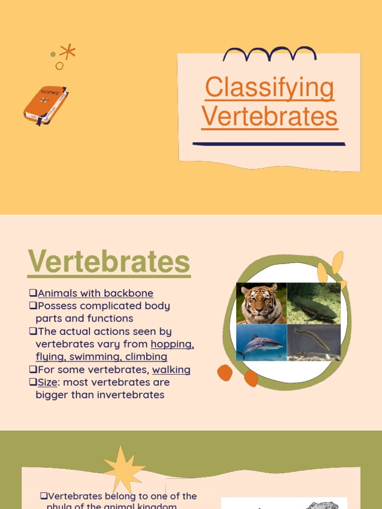 Overview of Vertebrate Classification | PDF | Mammals | Amphibian