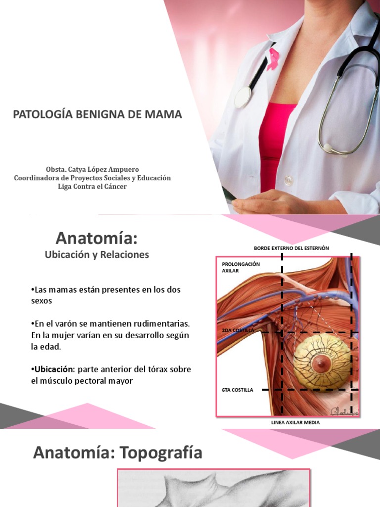 Patologia Benigna de La Mama | PDF | Pecho | Cáncer de mama