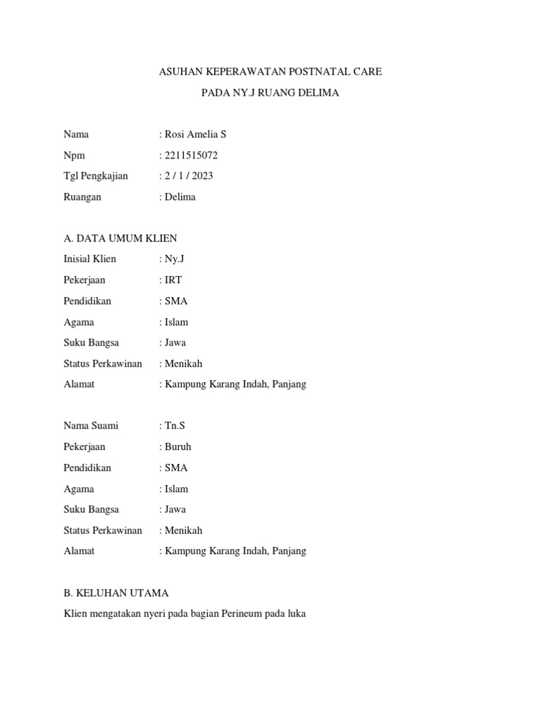 Asuhan Keperawatan Postnatal Care | PDF