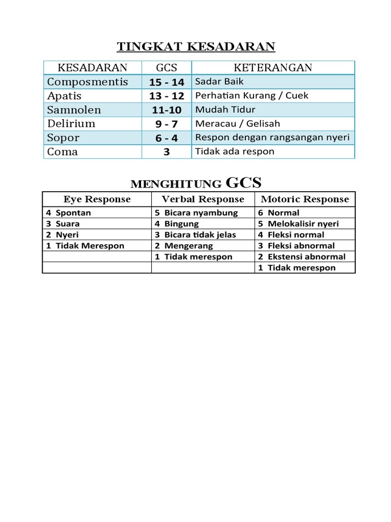 Tingkat Kesadaran | PDF