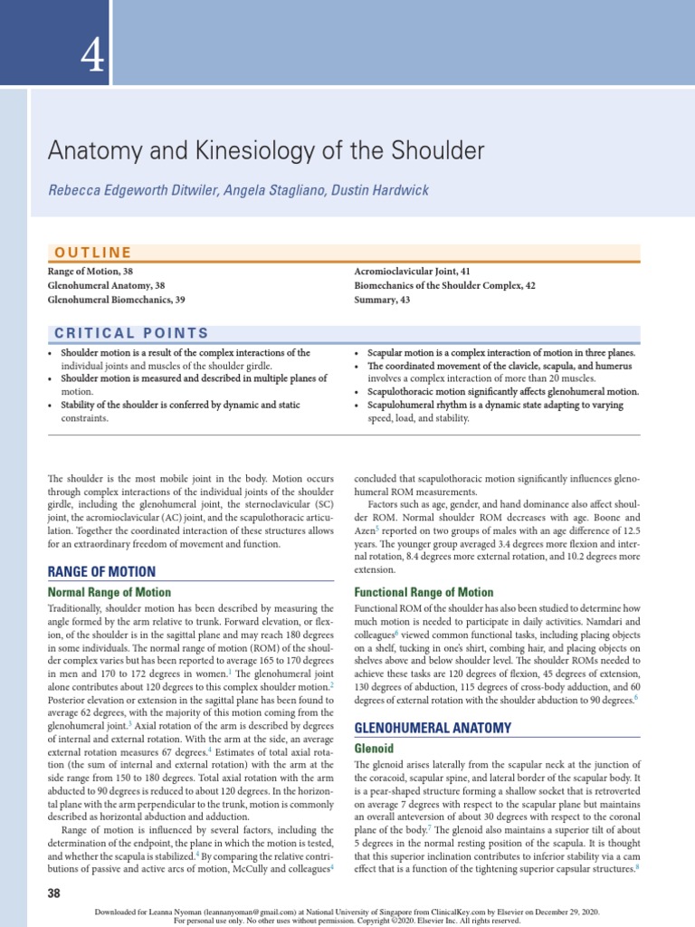 4 - Anatomy and Kinesiology of the Shoulder | PDF | Shoulder | Anatomical Terms Of Motion