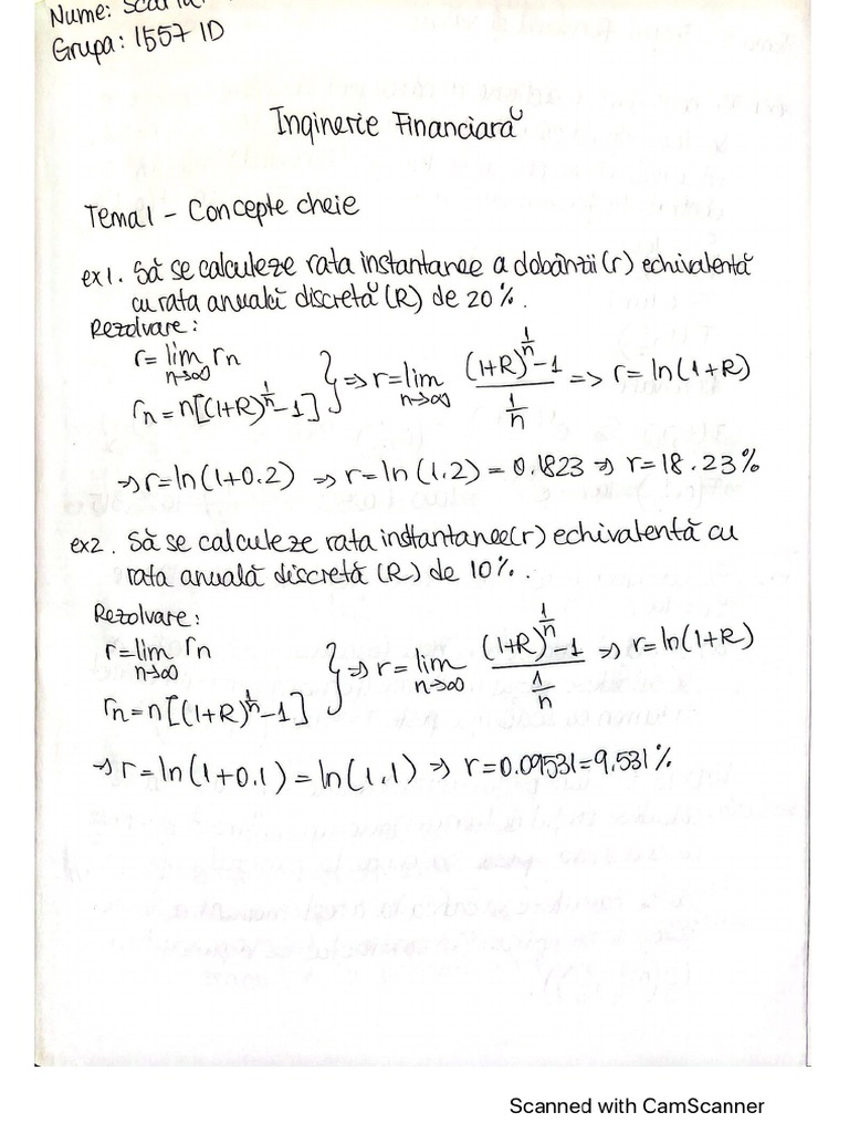 Tema Inginerie Financiara-Scarlat Alexan | PDF