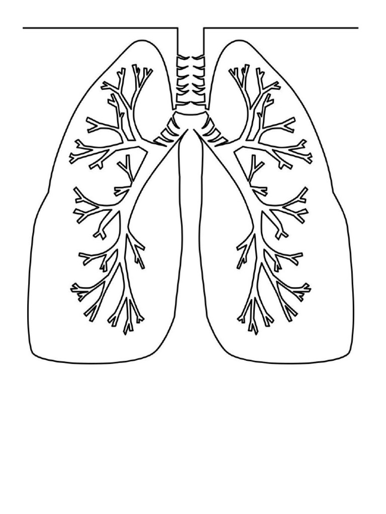 Sablon Plamani | PDF