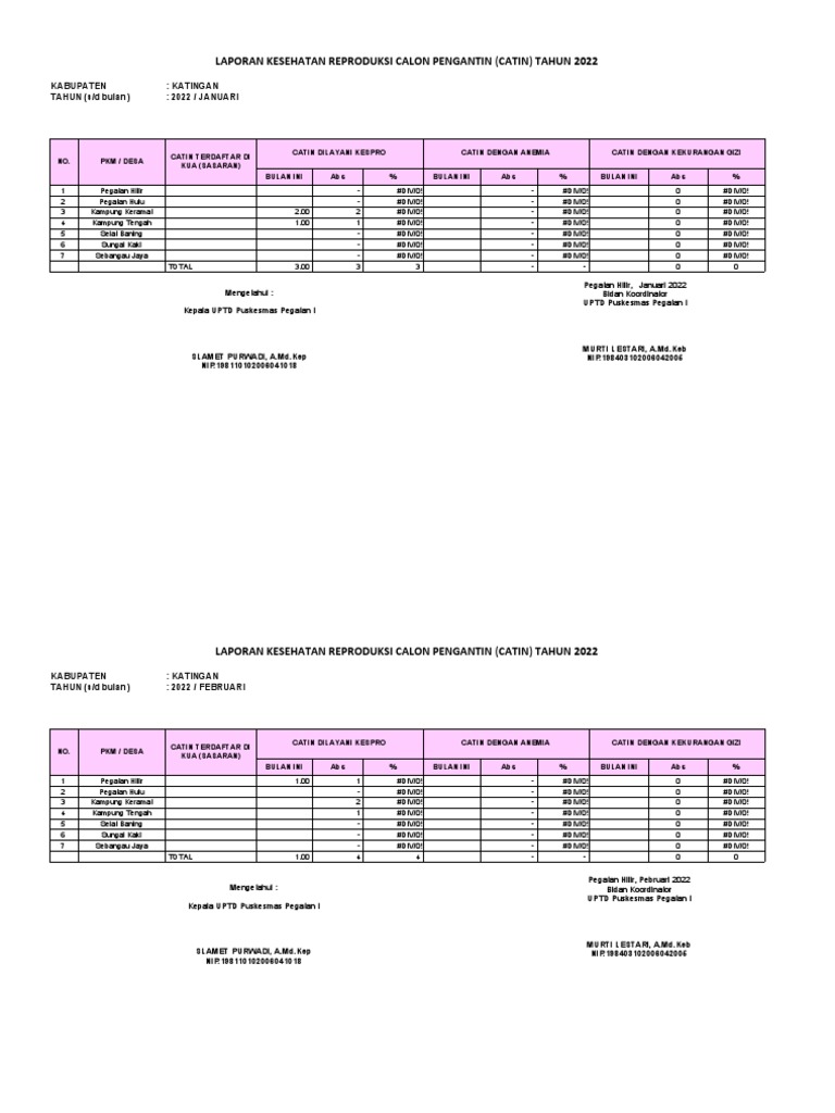 Laporan Catin 1 | PDF