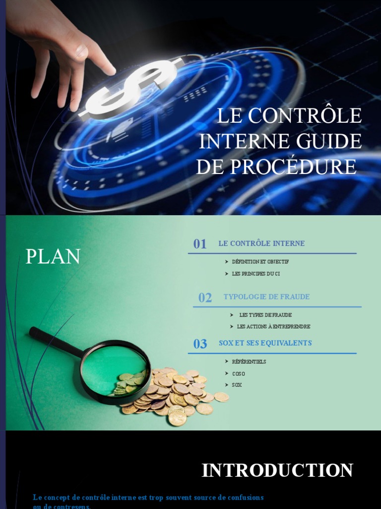 Le Contrôle Interne Guide de Procédure | PDF | Contrôle interne | Business