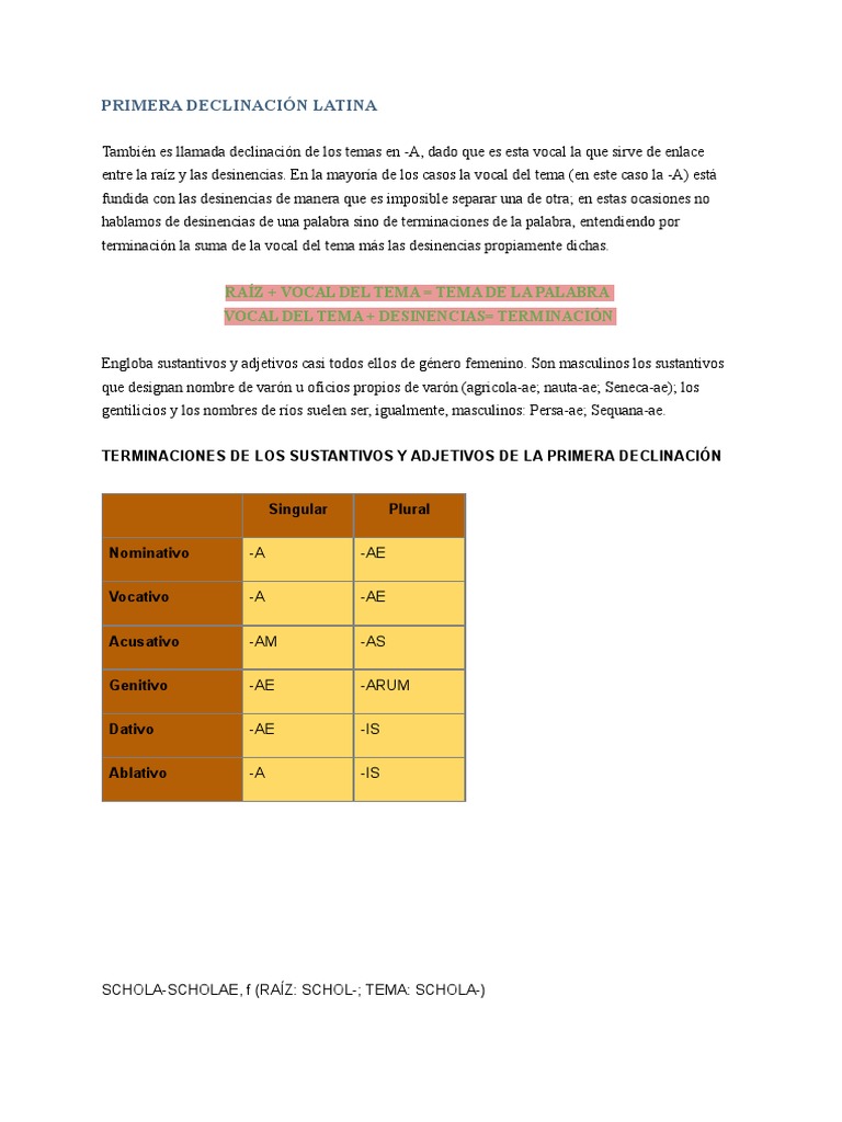 Características de La Primera Declinación | PDF | Relaciones ...