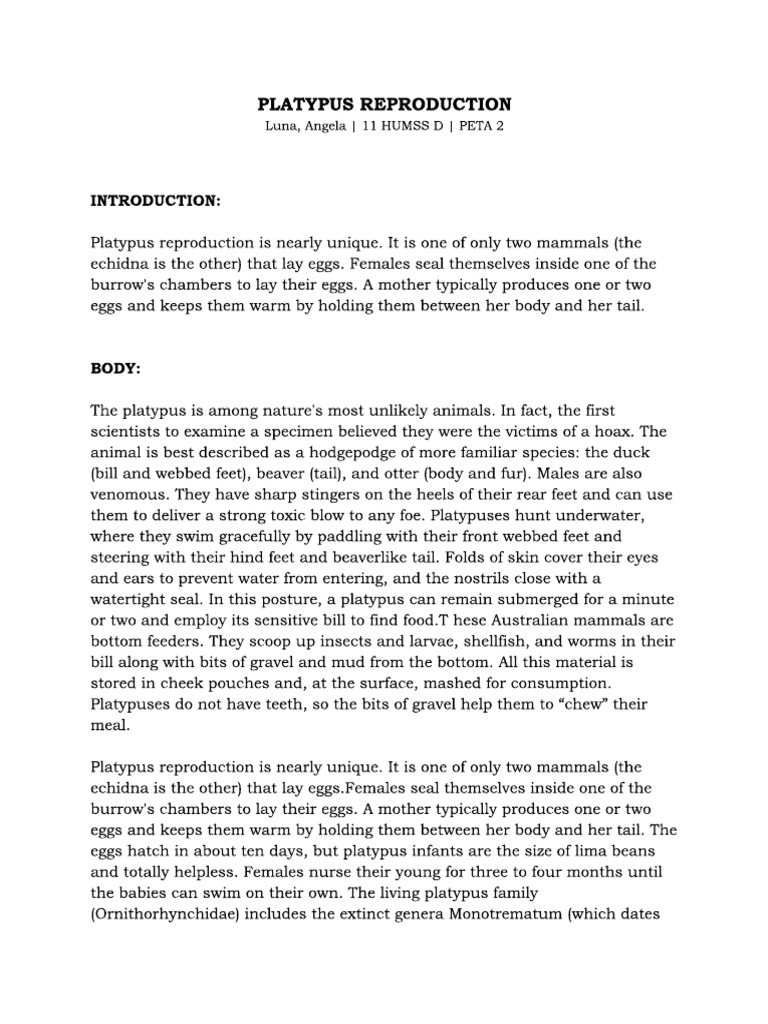 Platypus Reproduction (Angela) | PDF