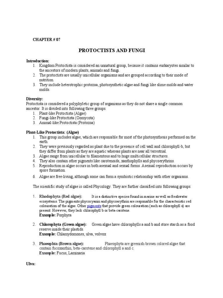 Chapter 07 | PDF | Fungus | Spore