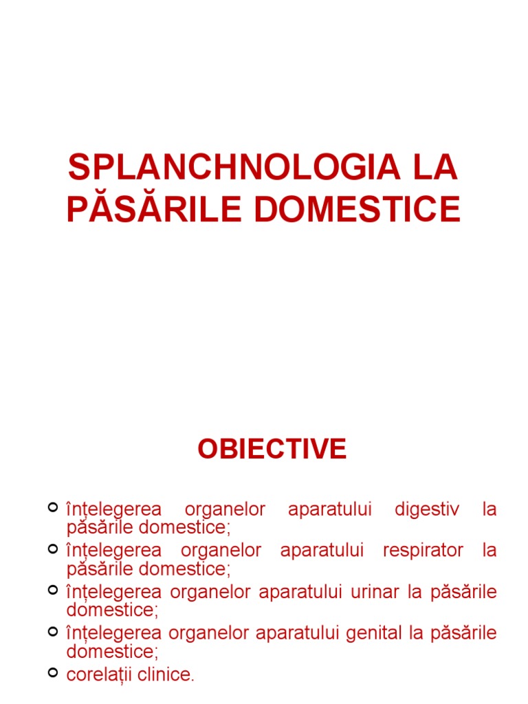 Curs 13 Splanchnologia La Pasare | PDF