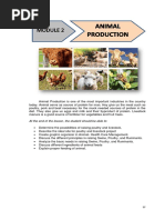 Introduction To Animal Production | PDF | Livestock | Poultry Farming