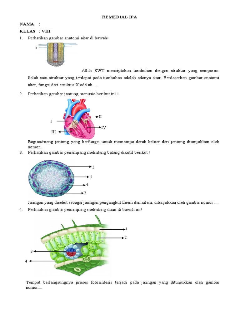 Soal Remedial IPA Kelas 8 tentang Sel | PDF