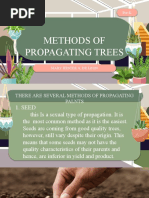 Planting System in Orchards | PDF | Rectangle | Orchard