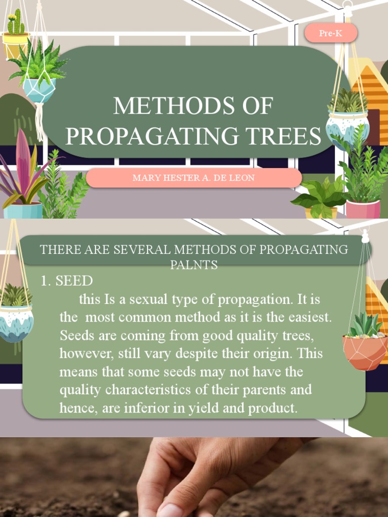 Methods of Plant Propagation | PDF | Grafting | Pest (Organism)