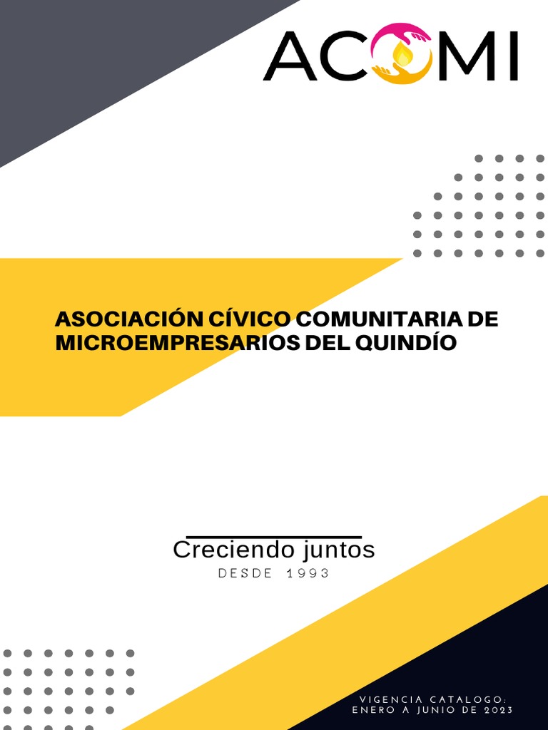 Ejemplo de Portafolio ACOMI Enero A Junio 2023 | PDF | Iniciativa ...