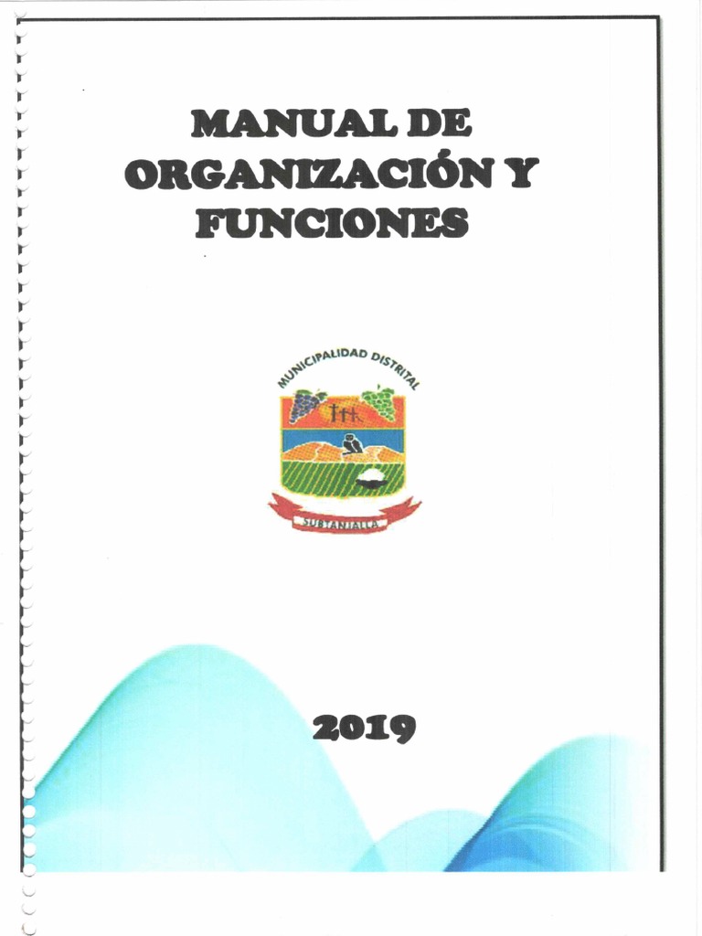 Manual de Organizacion y Funciones 2019 | PDF