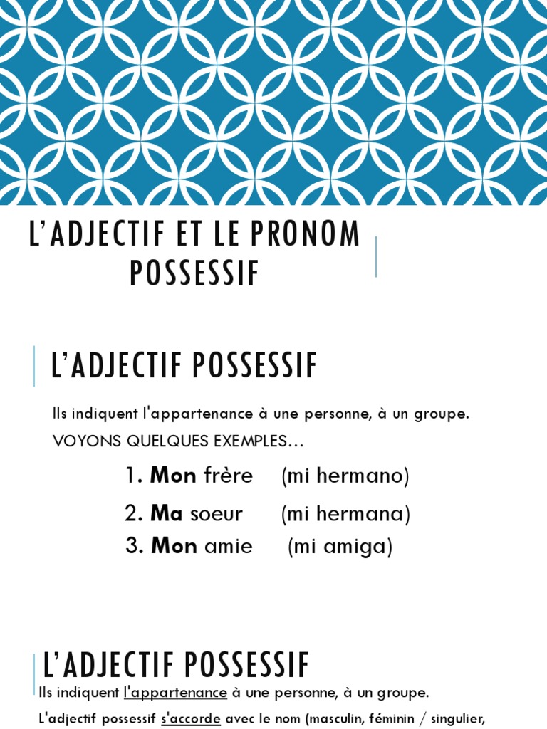 L'adjectif Et Le Pronom Possessif | PDF