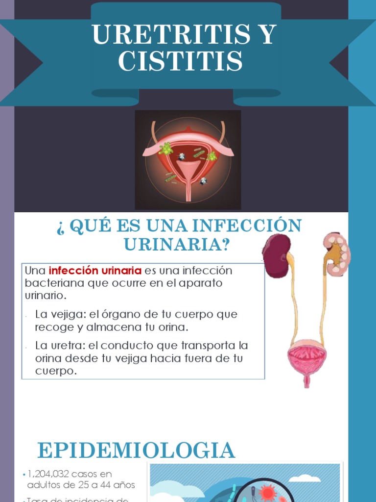 Uretritis y Cistitis | PDF | Vejiga urinaria | Medicina CLINICA