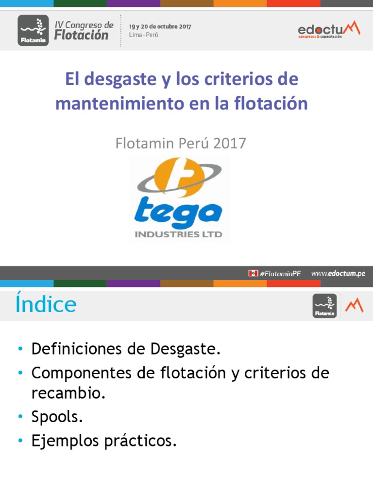 Giancarlo Giuffra - Tega Industries | PDF | Materiales | Ciencias fisicas