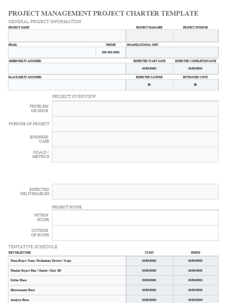 IC Project Management Project Charter 8556 | PDF | Project Management ...