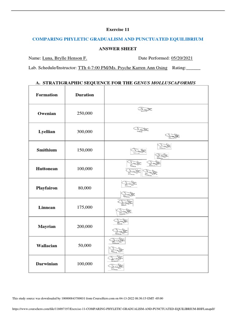 Exercise 11 COMPARING PHYLETIC GRADUALISM AND PUNCTUATED EQUILIBRIUM ...